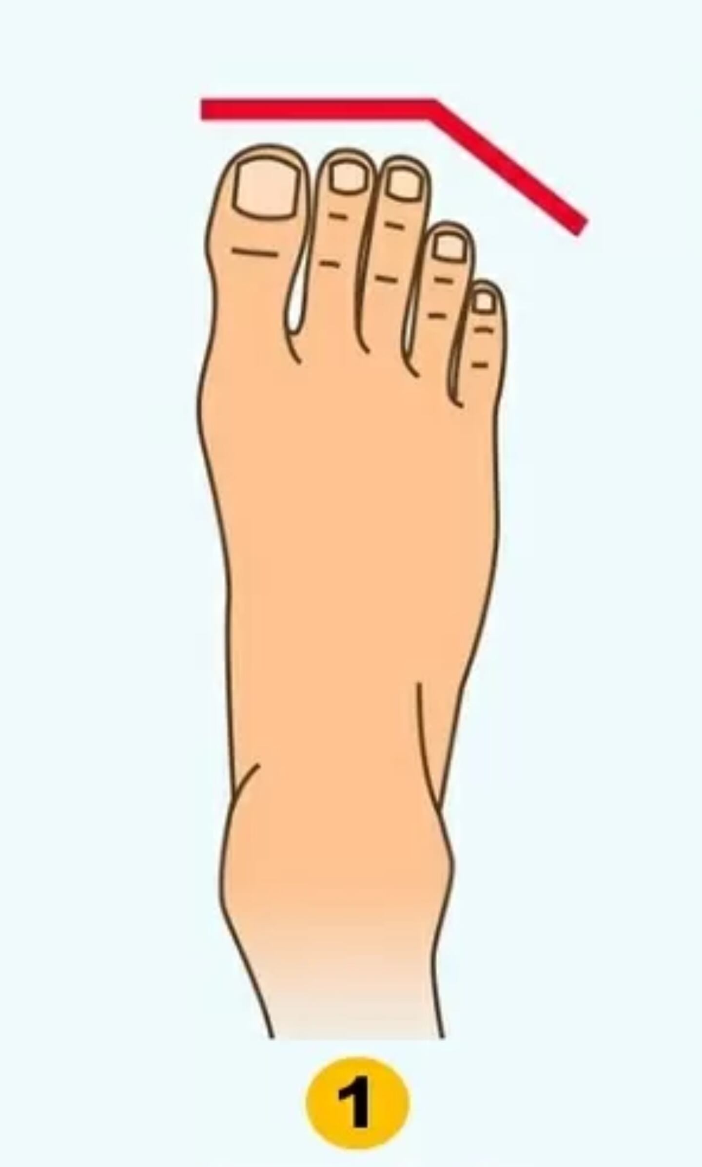 ¡Mira hacia abajo! Esto es lo que dice la forma de tus pies acerca de ...